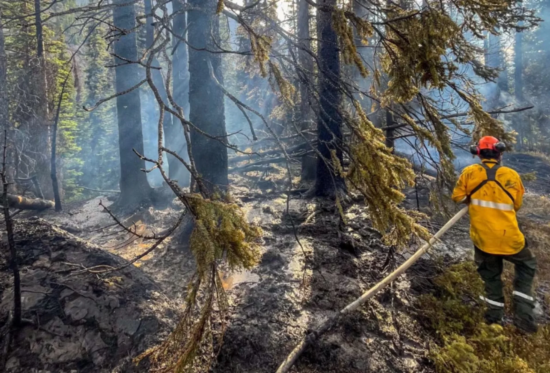 The 2024 Jasper Fire highlights the need for a Canadian wildfire plan ...