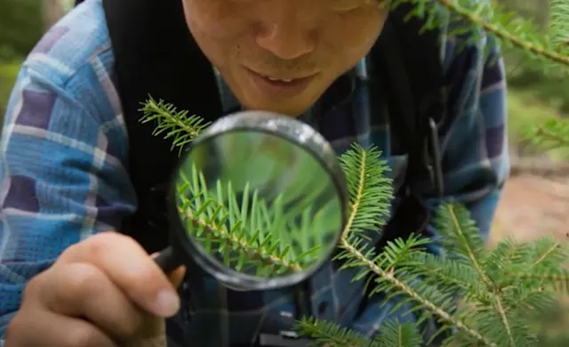Canada took on 45 countries in biodiversity challenge. See how we fared ...