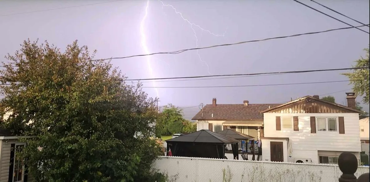 Un arbre frappé par la foudre : voici le résultat - MétéoMédia