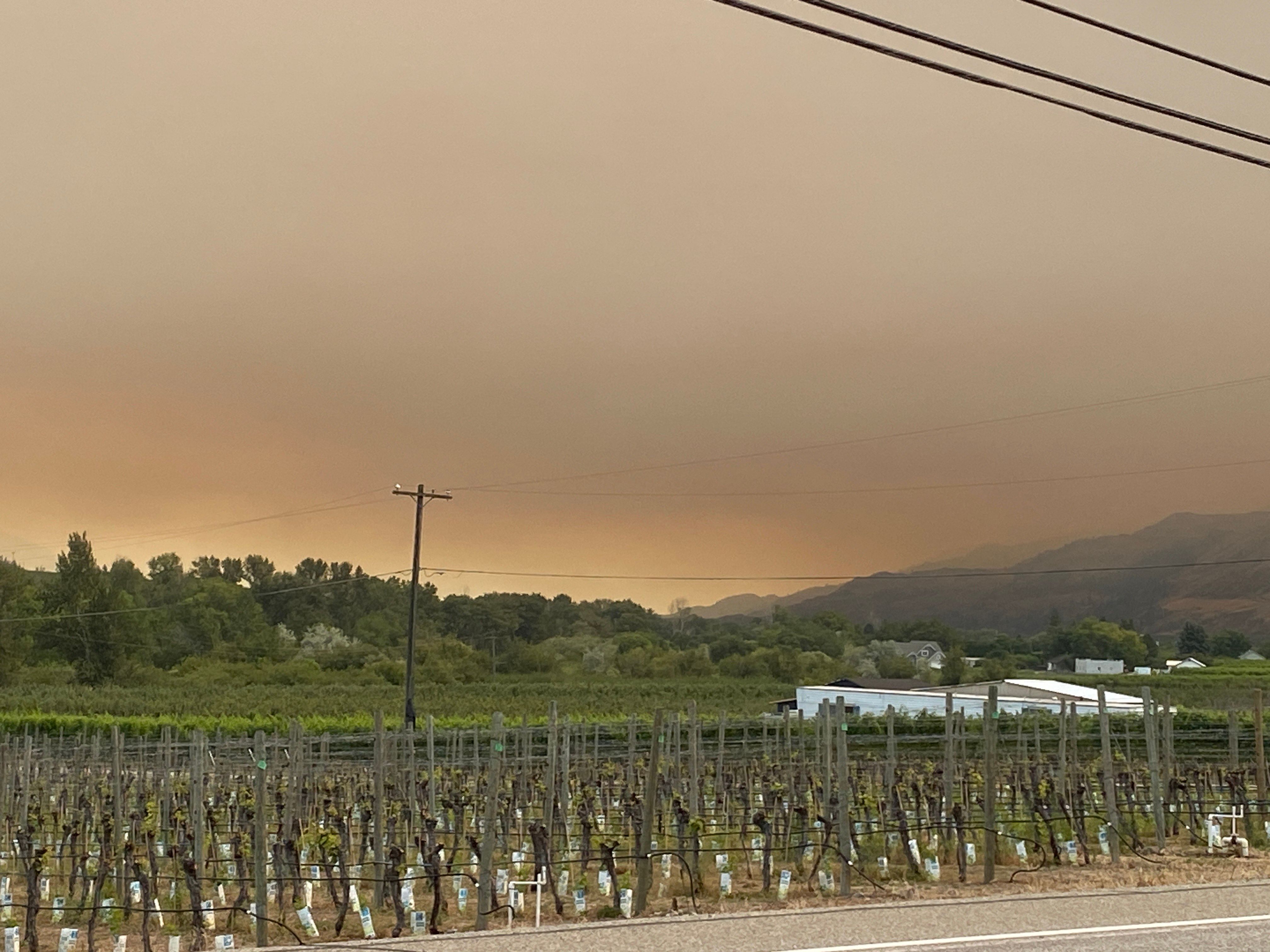 Border-crossing wildfire burning dangerously close to Osoyoos, B.C ...
