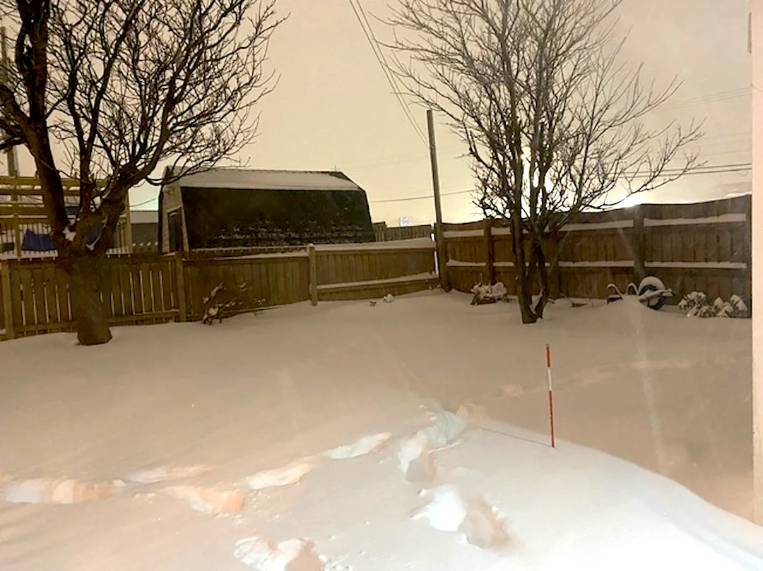 PHOTOS: First winter storm of 2024 packs a wallop in Newfoundland - The ...