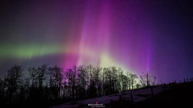 See two meteor showers and a rare Blue Micromoon this spring - The ...
