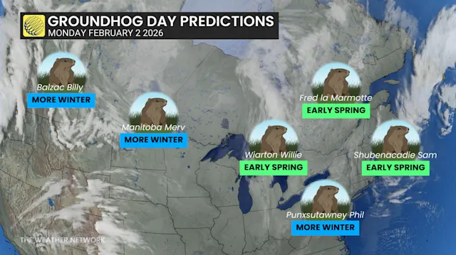 Groundhog Day 2026: See the results here! - The Weather Network