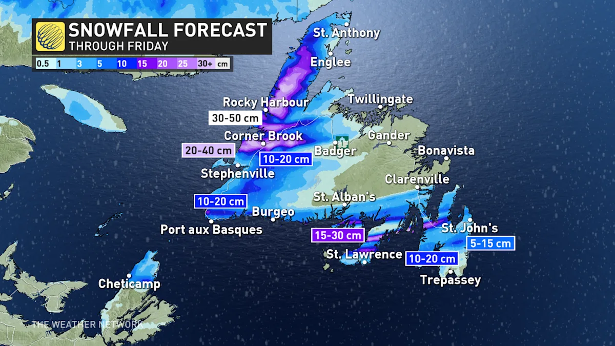 Travel remains dangerous as powerful snow squalls hit Newfoundland ...
