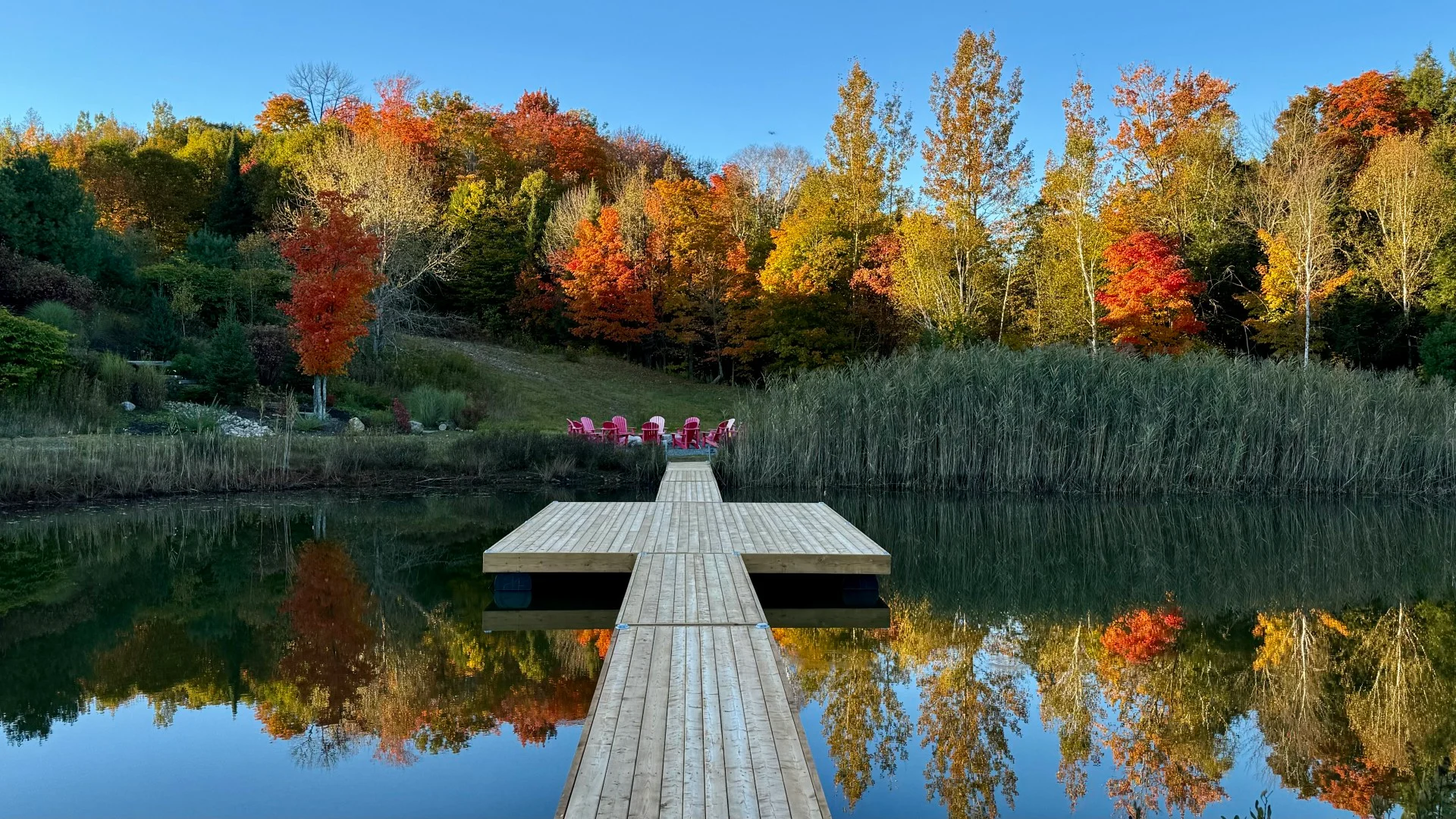 Fall colours showing in Ontario after warm September 'paused' foliage ...