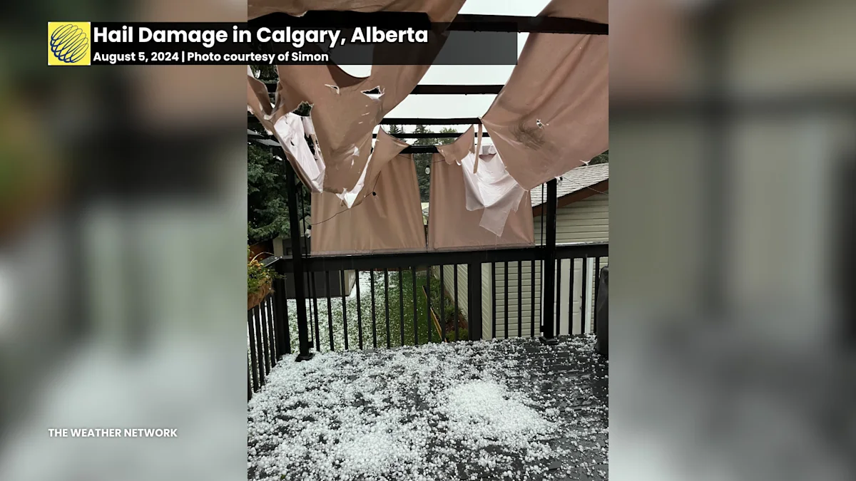 Calgary’s 2024 hailstorm was one of Canada’s costliest disasters - The ...