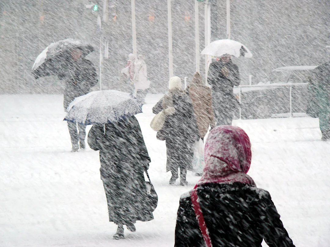 Kingston's weather forecast for December 1: Flurries and wet conditions ...