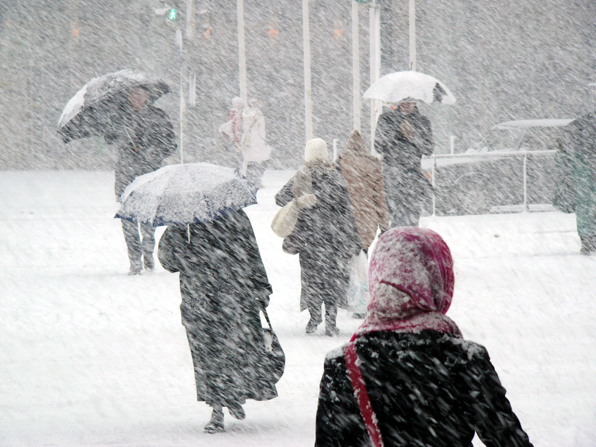 Owen Sound's weekend weather forecast: Snow squalls and windy ...