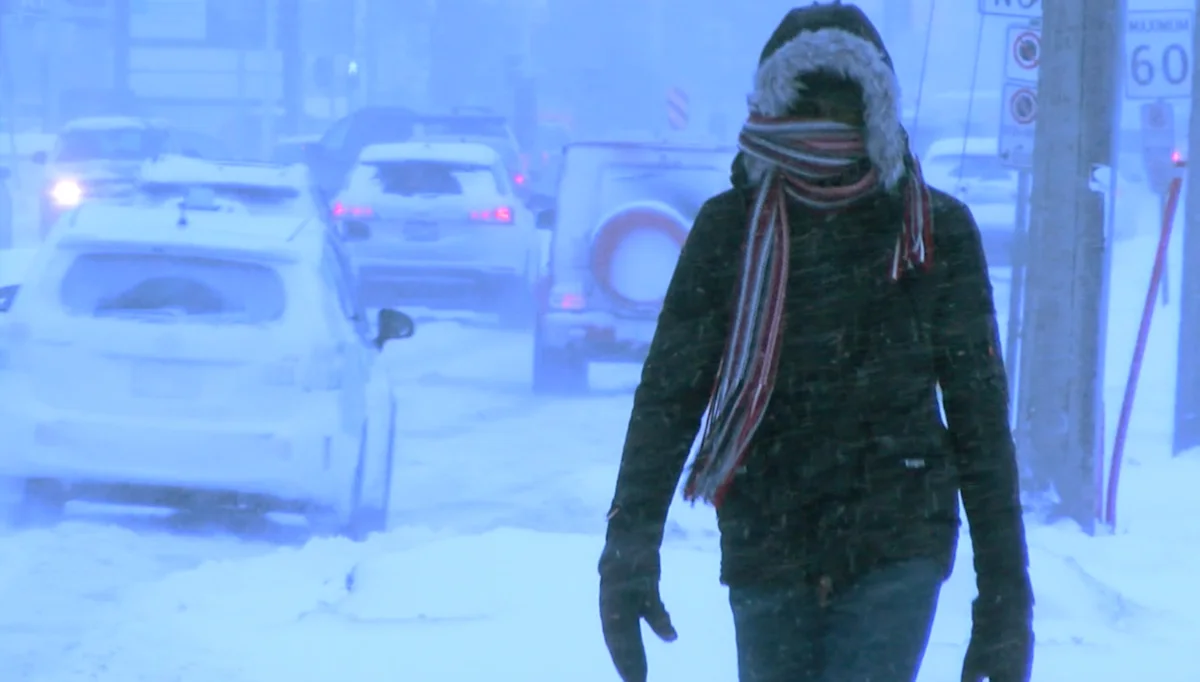 Calgary's no-show snowstorms this winter. When will one finally arrive ...
