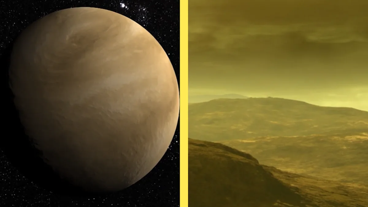 Could life be found on Venus? Scientists are trying to find out - The ...