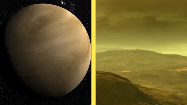Could life be found on Venus? Scientists are trying to find out - The ...