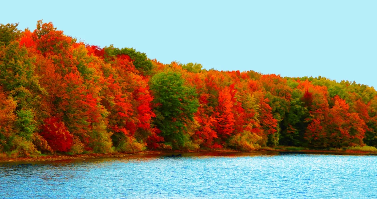 Fall colours showing in Ontario after warm September 'paused' foliage ...