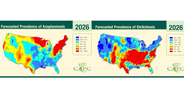 Why the U.S. tick season could be the worst in a decade - The Weather ...
