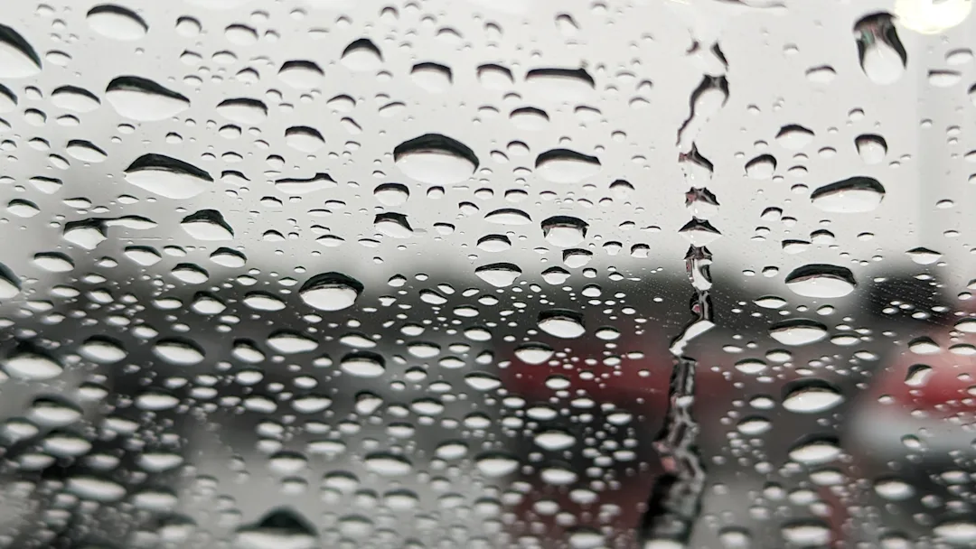 Richmond's weather forecast for November 10: Light rain expected in the ...