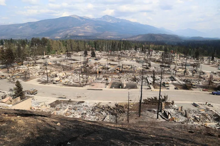 Jasper rising from the ashes: A journey of recovery one year later ...