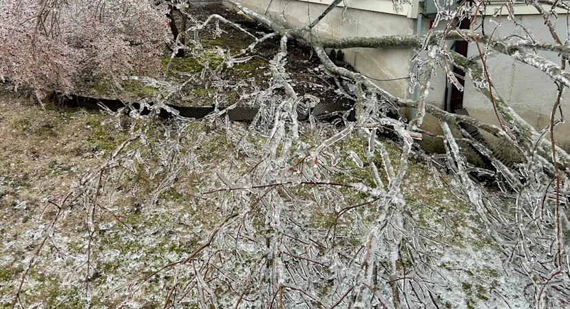 1 million customers hit hard. Ontario's historic ice storm by the ...