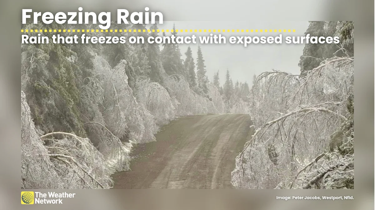 Freezing rain and ice pellets are dangerous winter hazards - The Weather Network