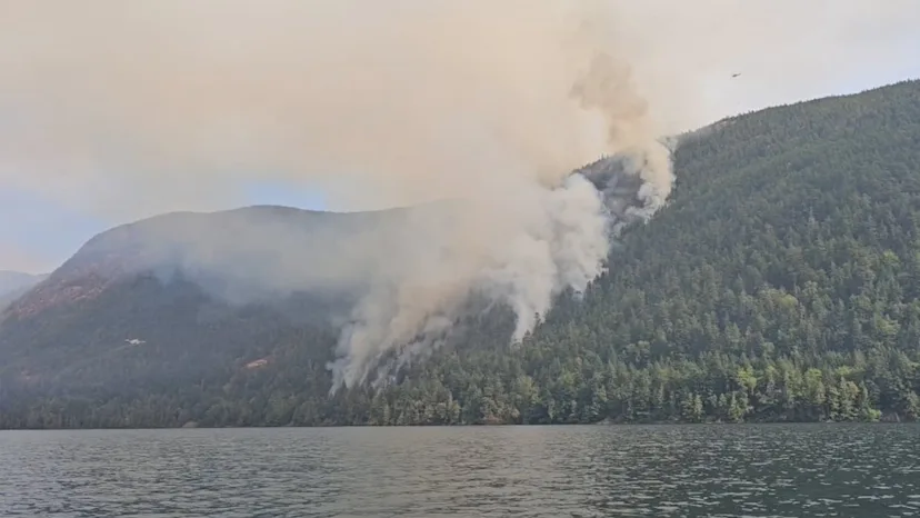 Wildfire near Cameron Lake on Vancouver Island prompts evacuation order ...