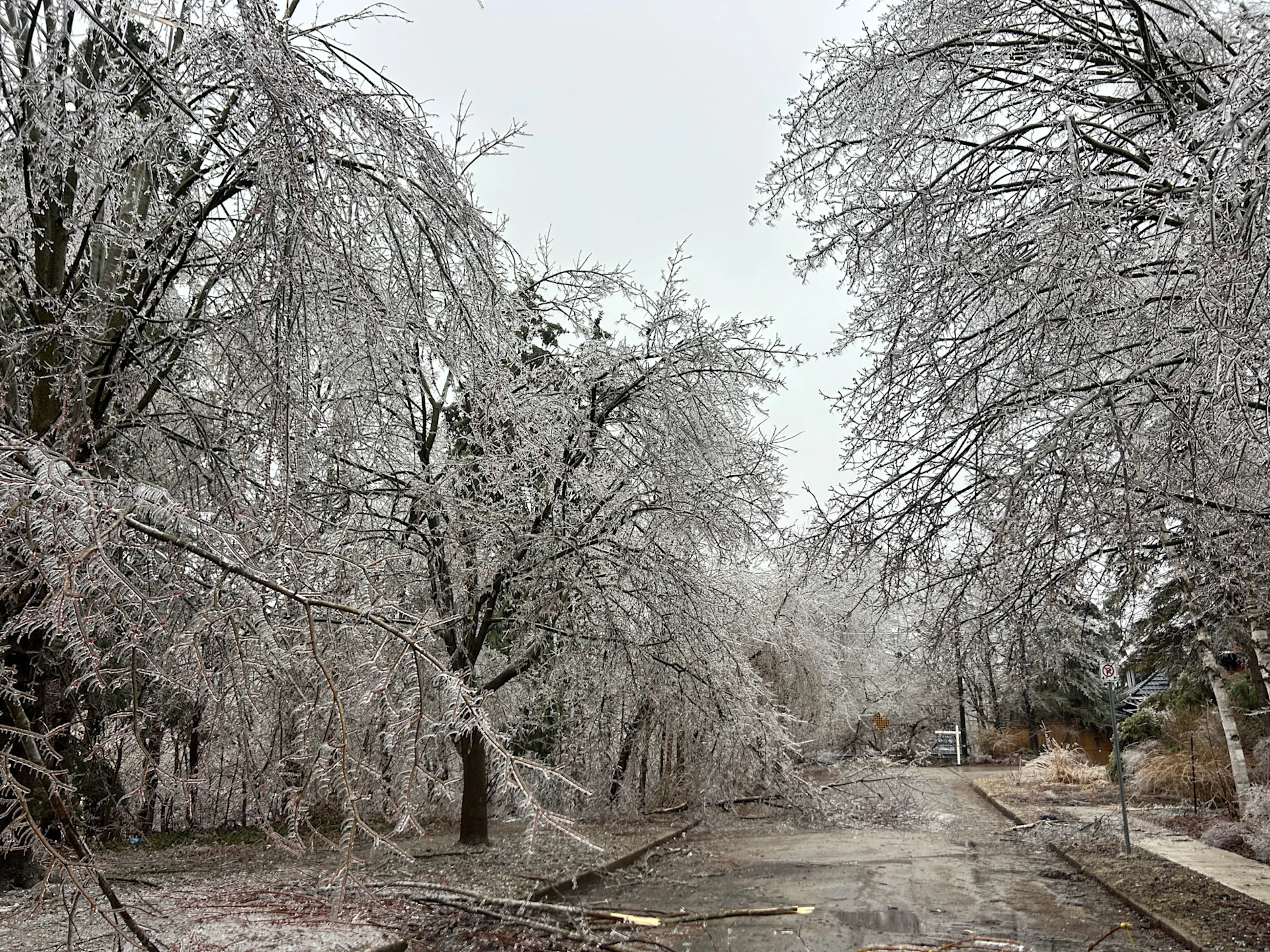 Photos: Ontario ice storm causes widespread damage, outages - The Weather Network