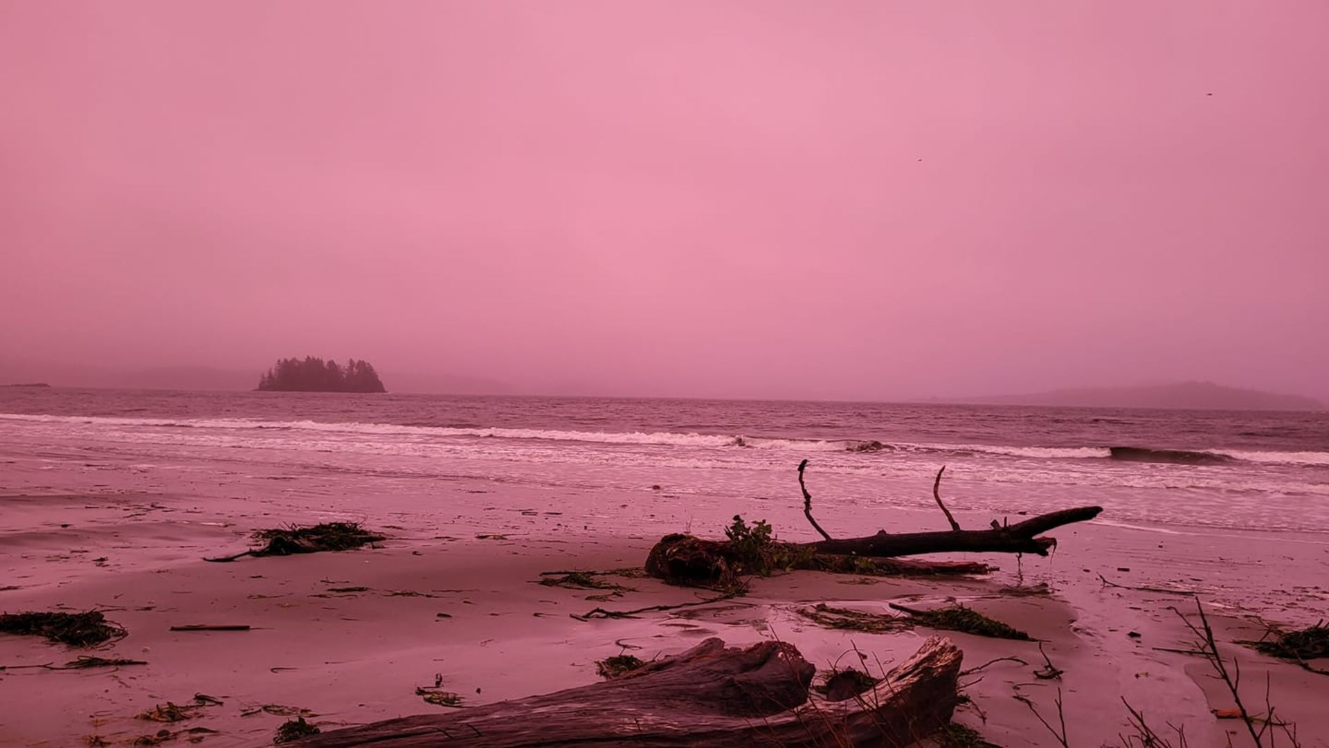 A rare overcast sunset painted Canada's sky pink - The Weather Network