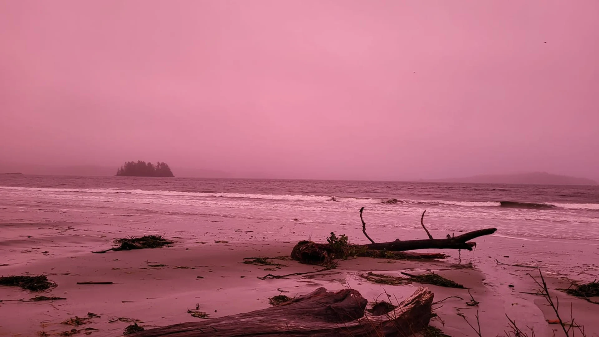 A rare overcast sunset painted Canada's sky pink - The Weather Network