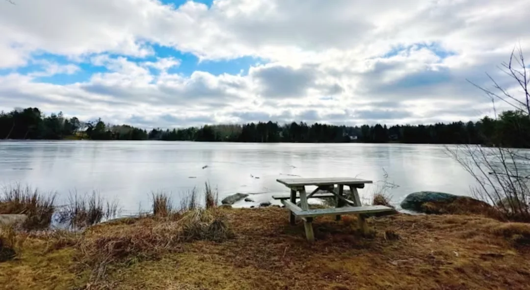 Halifax scraps testing of frozen lakes for skating safety, cites ...