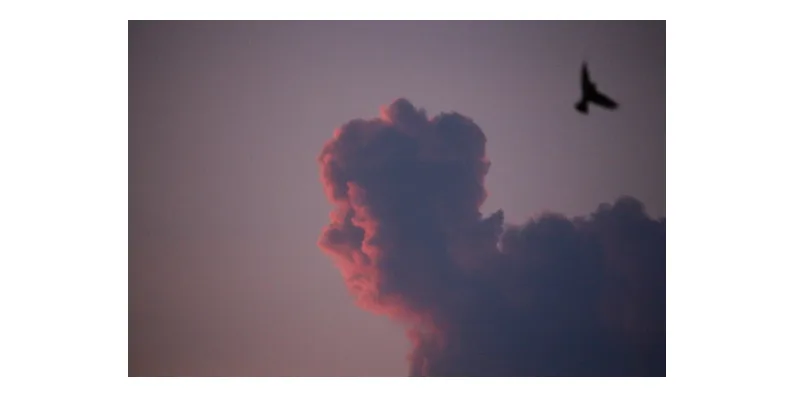 Pareidolia: Why we see faces in nature and unusual places - The Weather ...