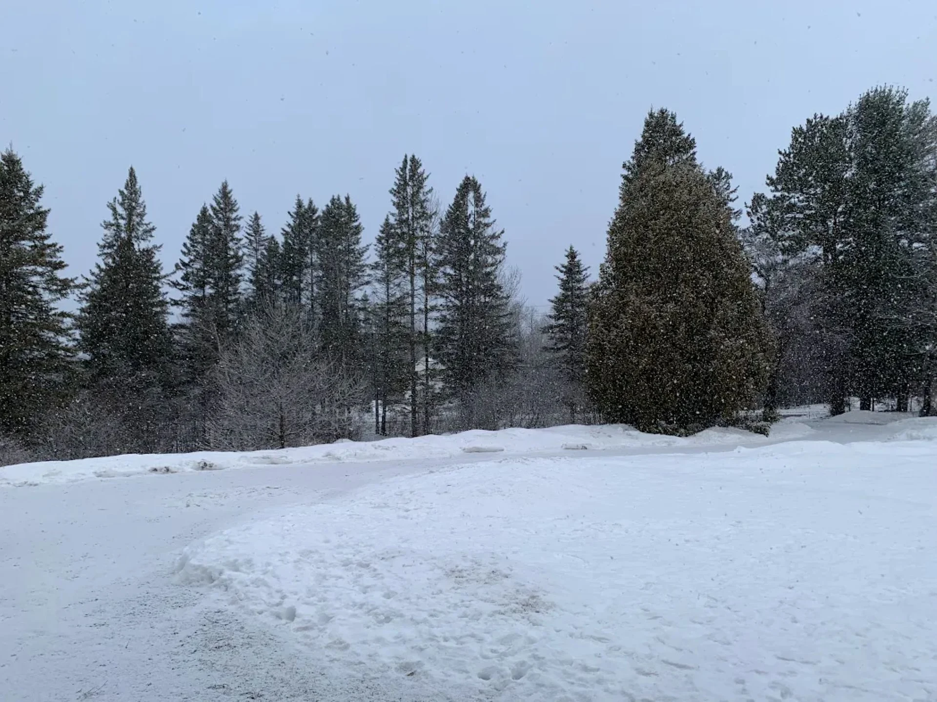 Snow causes closure of rural Thunder Bay schools - The Weather Network