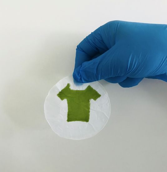 Clothes made from algae give a glimpse into the future of fashion - The ...