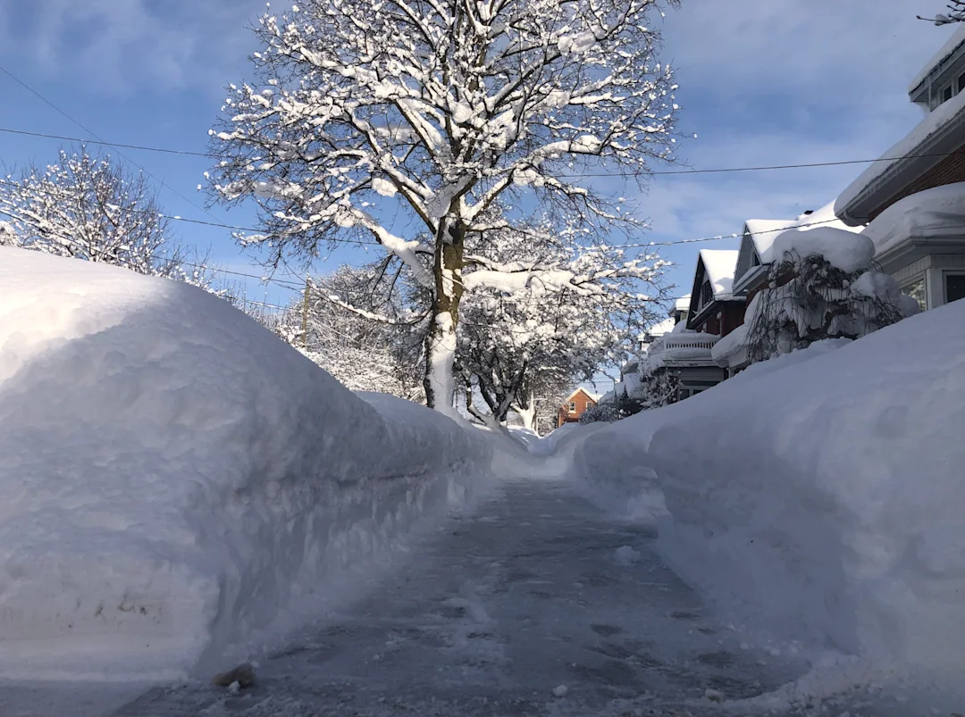 Outages rapidly mount as 90+ km/h gusting winds blow through Quebec ...