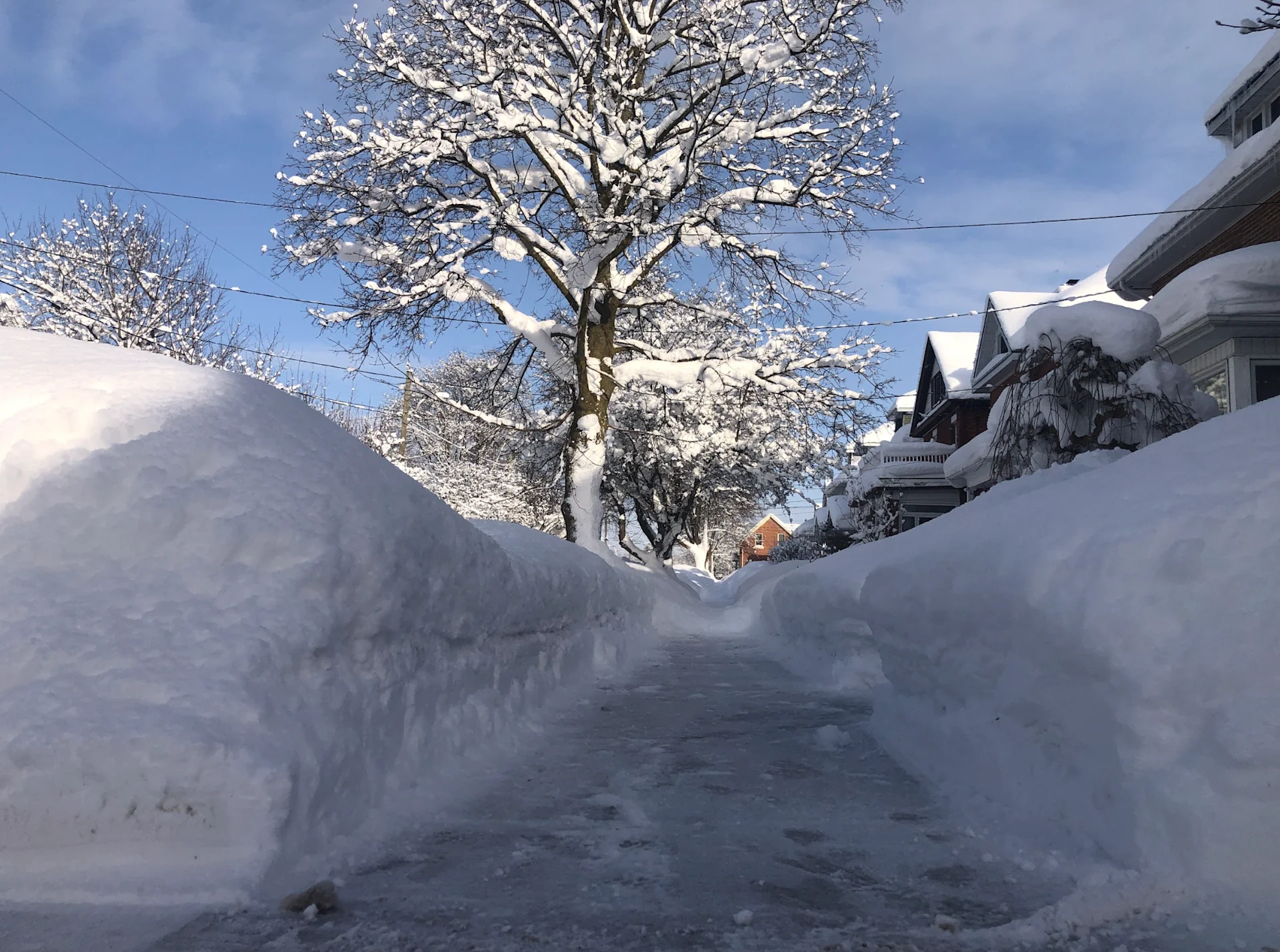 Winter picks up steam in Ontario, 3 more rounds of snow, difficult ...