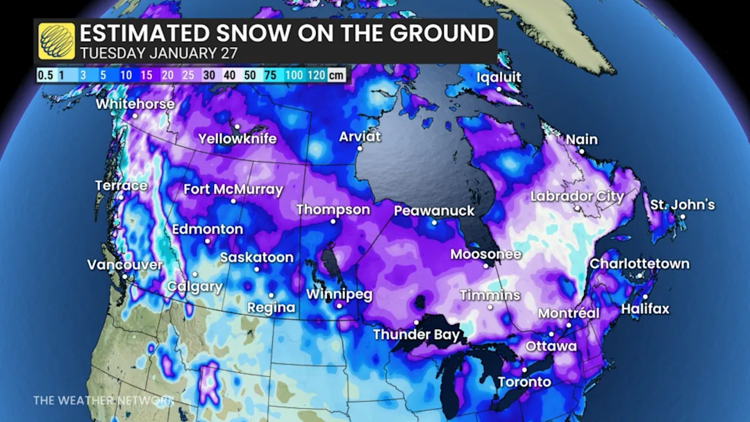 February's Full Snow Moon shines this weekend - The Weather Network