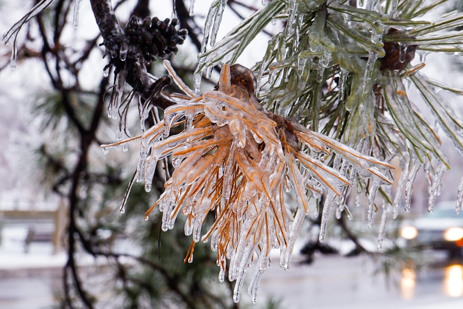 Freezing rain risk lingers into Sunday in eastern Ontario, Quebec - The ...