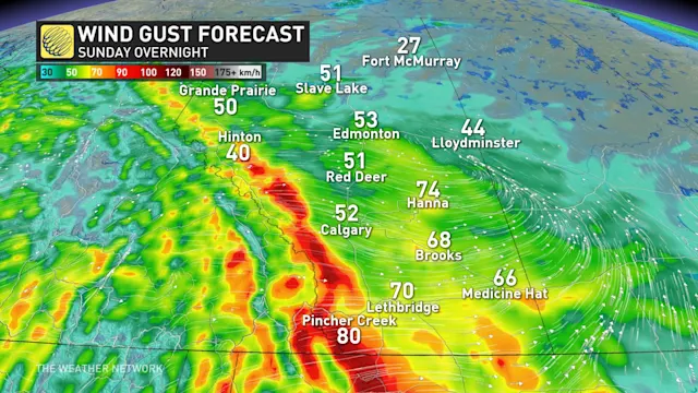 Warm winds blowing over Alberta to offer a brief reprieve from winter ...