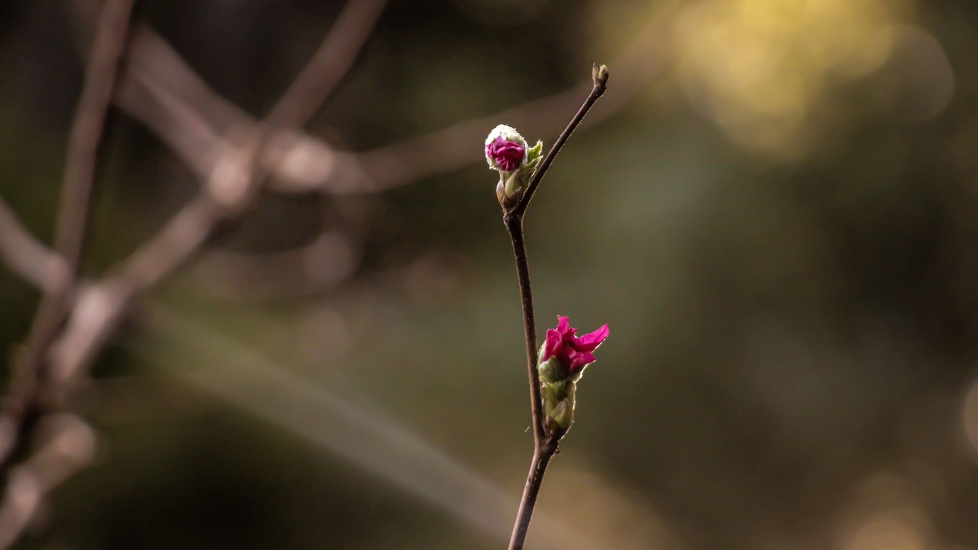 Oshawa's weekend weather forecast: From clouds to sunshine - The ...