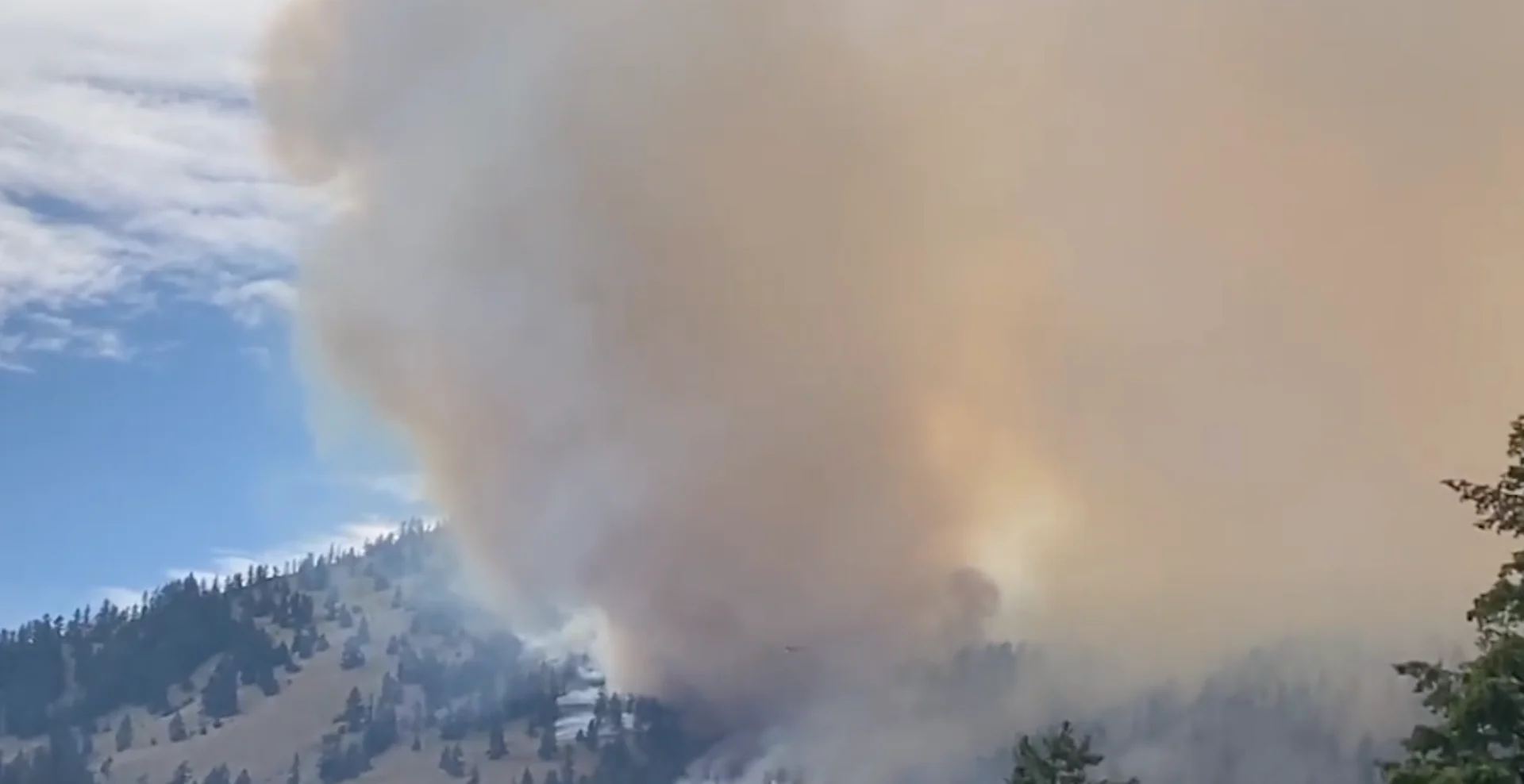 Jasper faces 'significant loss' of buildings as wildfire engulfs town ...