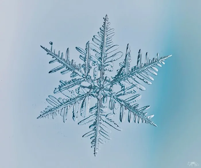 This winter phenomenon creates a spectacular scene - The Weather Network