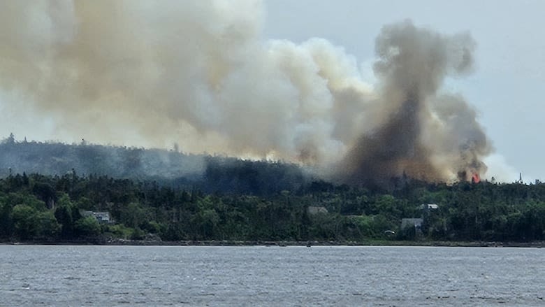 Some evacuees heading home as forest fire on Eastern Shore slows - The ...