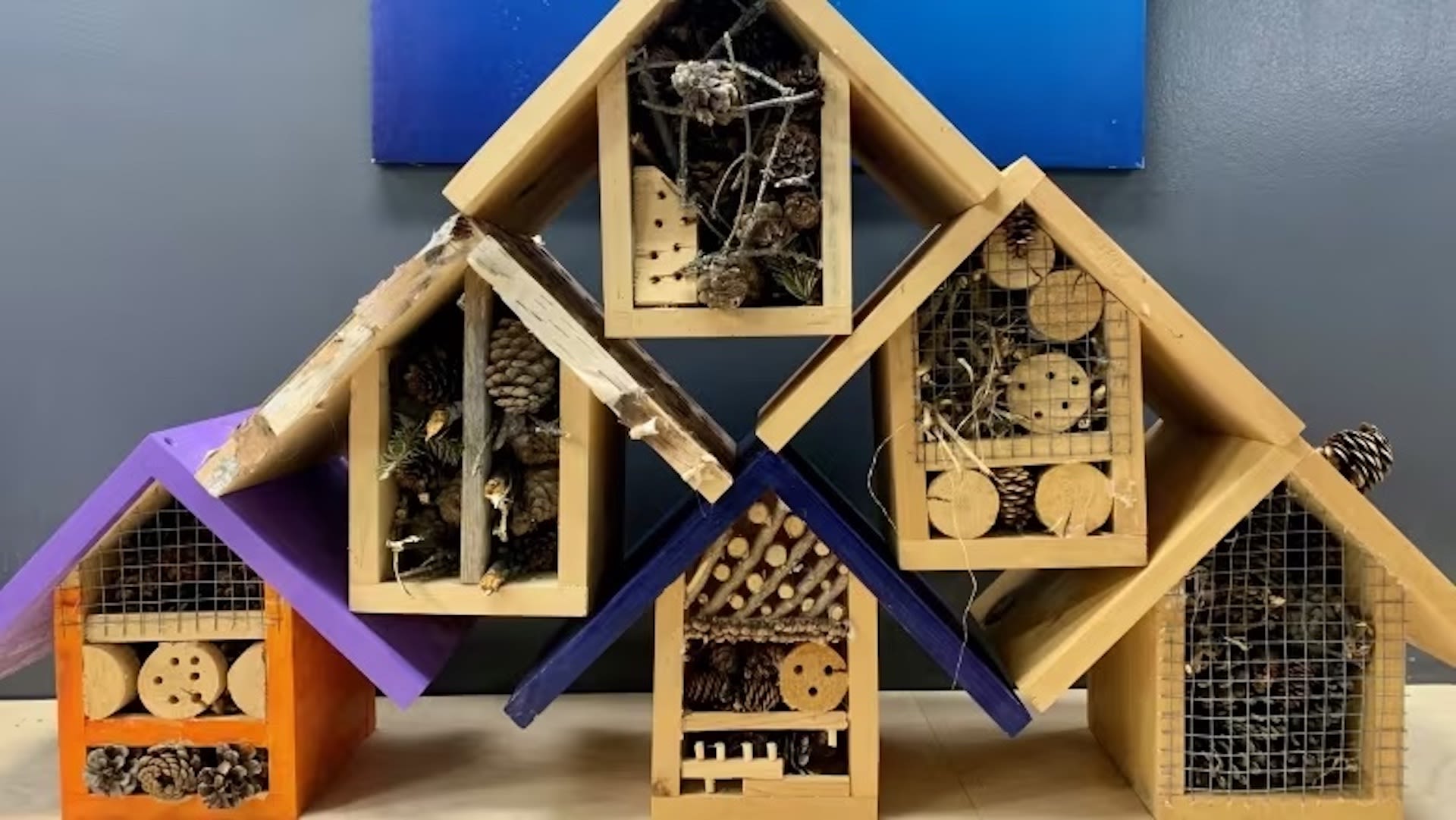 Bee my guest: Pollinators housed in hotels as spring unfolds - The ...