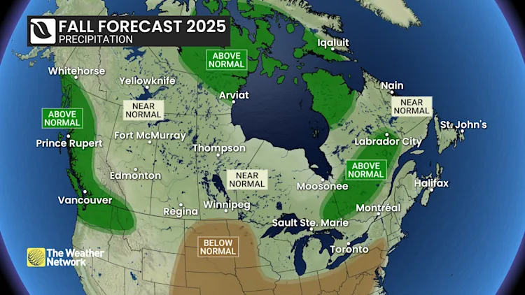 Canada's 2025 Fall Forecast: An extended pause could redefine the ...