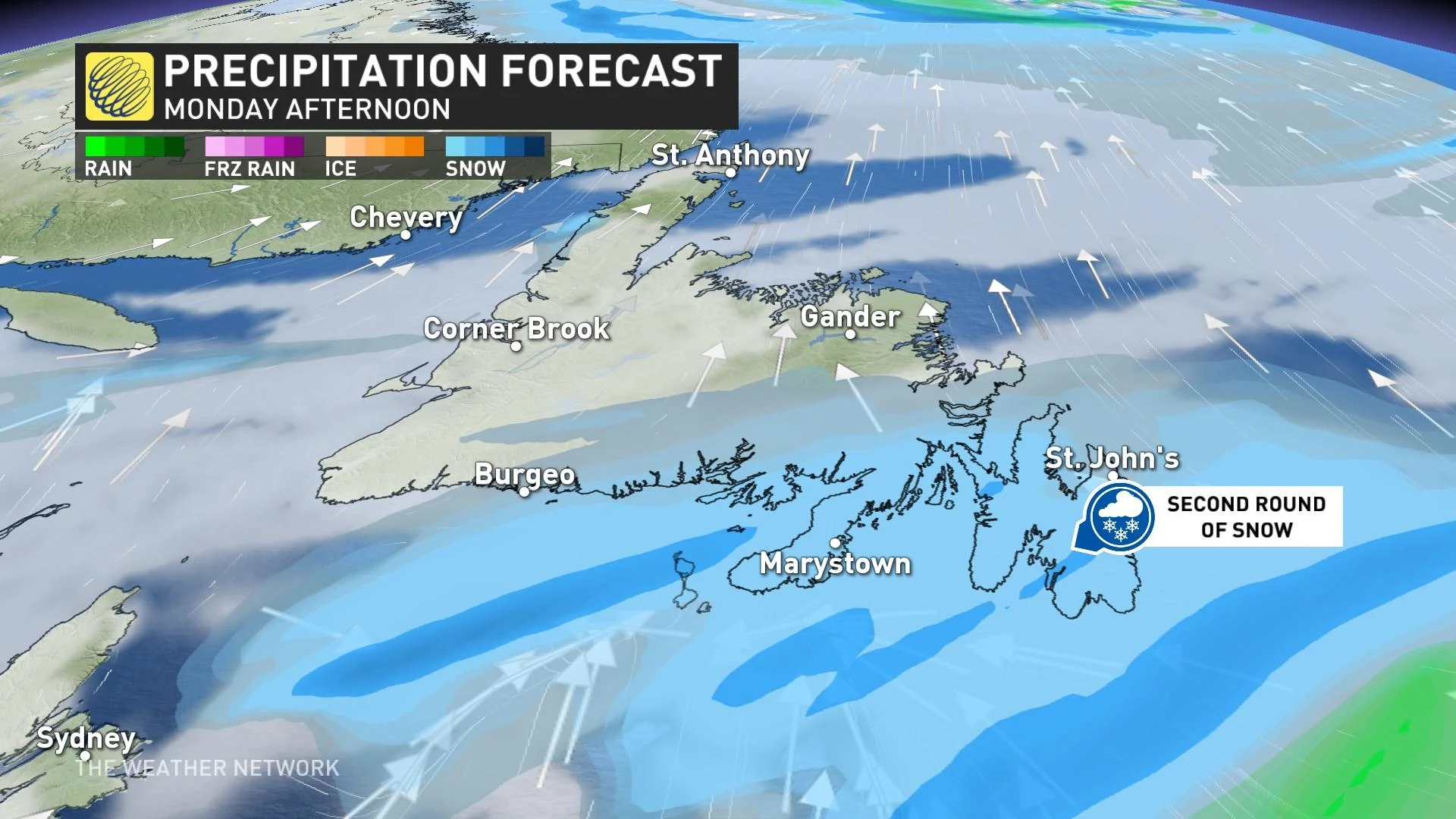 Heavy, blowing snow makes for hazardous conditions in Newfoundland ...