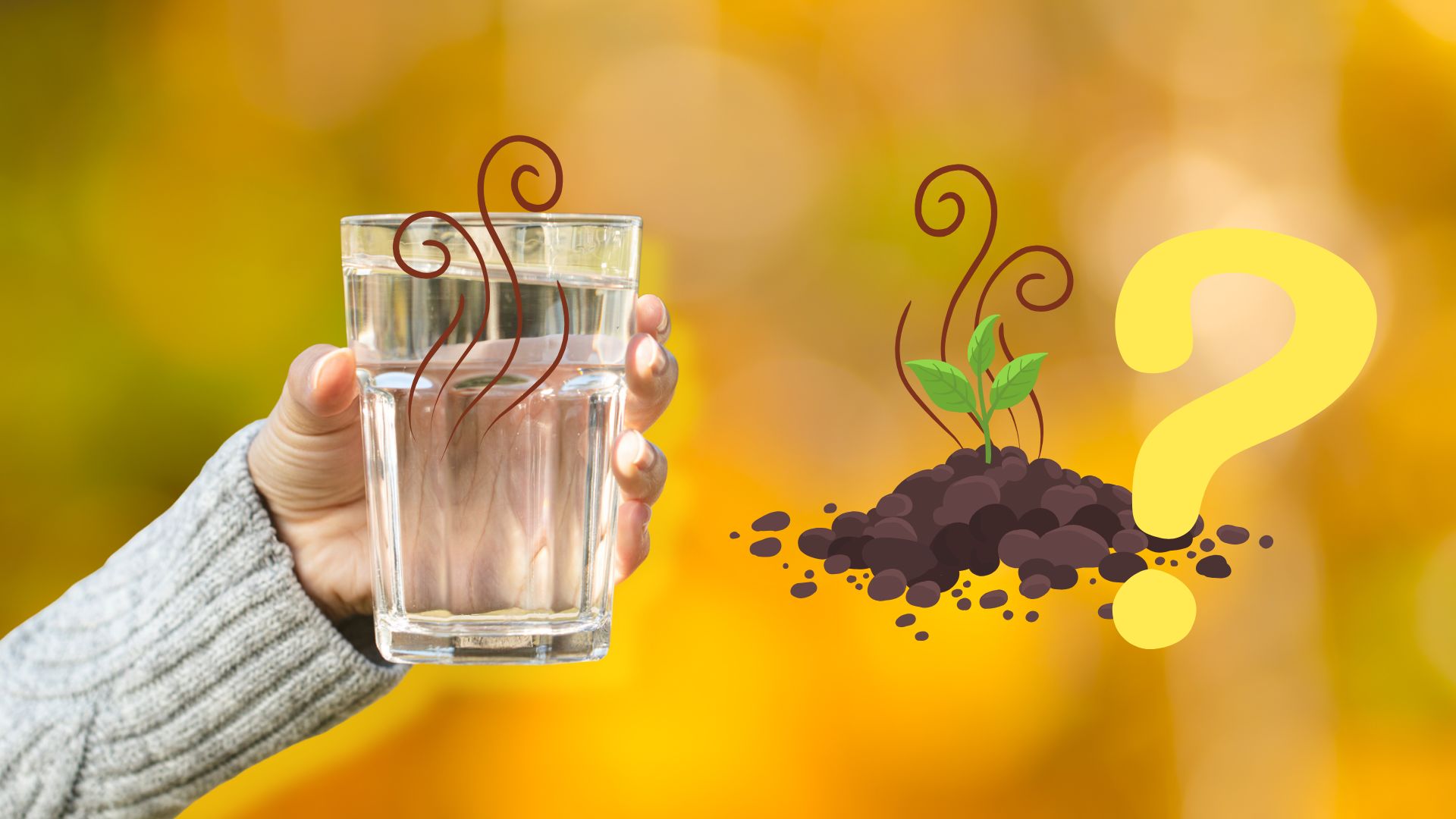 Your water may taste 'off' this time of year. Here's why - The Weather ...