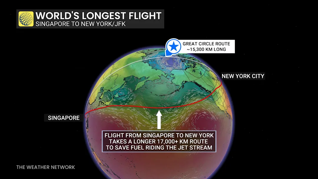 The world’s longest flight takes 18+ hours and flies 17,000 km - The ...