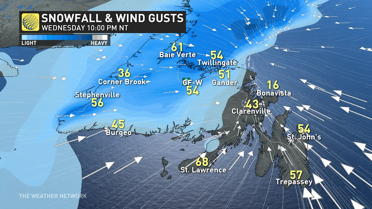 Battle of the seasons over Newfoundland this week, and the differences ...