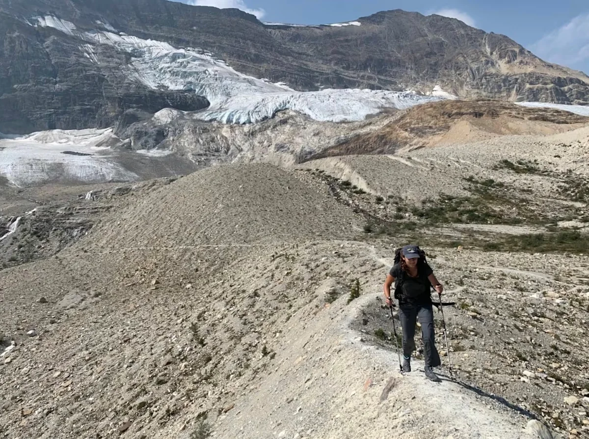 Poop used to track climate-change effects on pikas and their mountain ...
