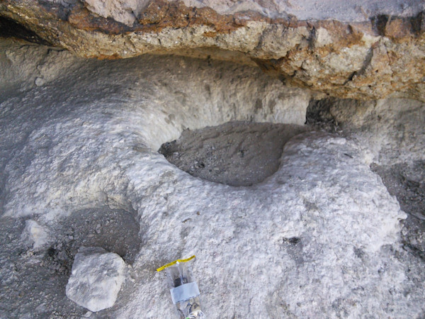 Natural, human impacts on animals seen in 2,000-year-old condor poop ...