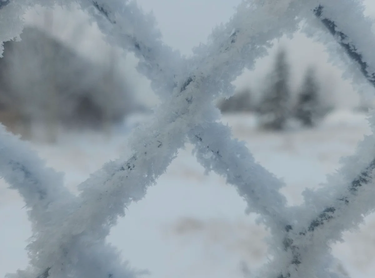 This winter phenomenon creates a spectacular scene - The Weather Network