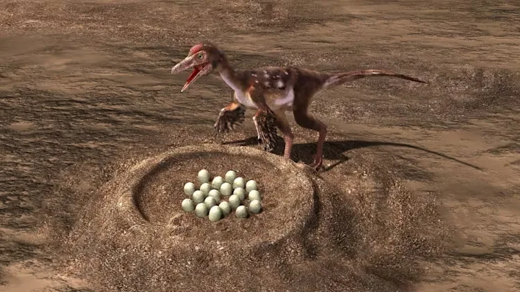 What fossil eggs found in Alberta reveal about how dinosaurs became ...