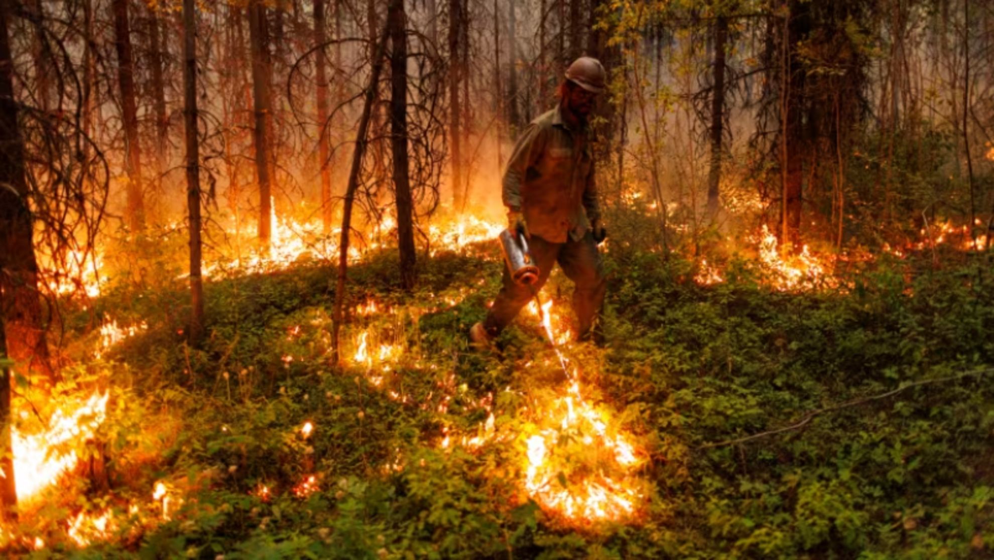 Experts advise B.C. residents to prepare early for wildfire season ...
