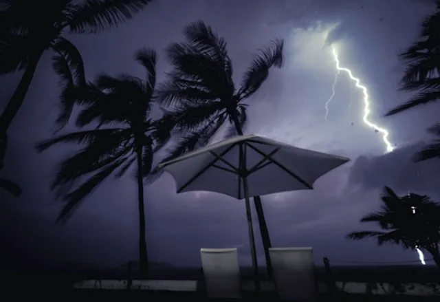 Roy Sullivan was struck by lightning seven times — more than any other ...